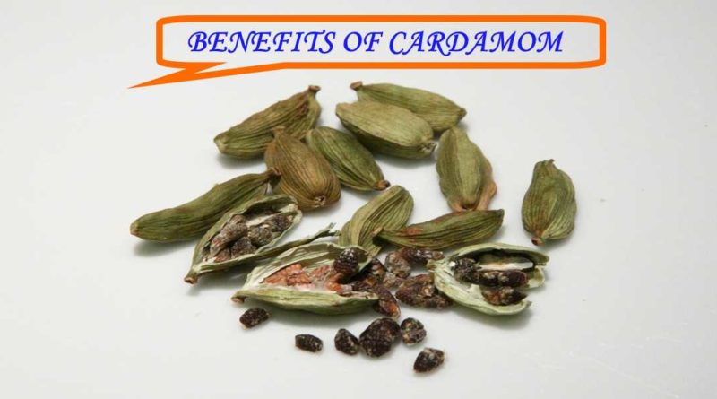 Some Tremendous Benefits of Cardamom » Your Health Orbit